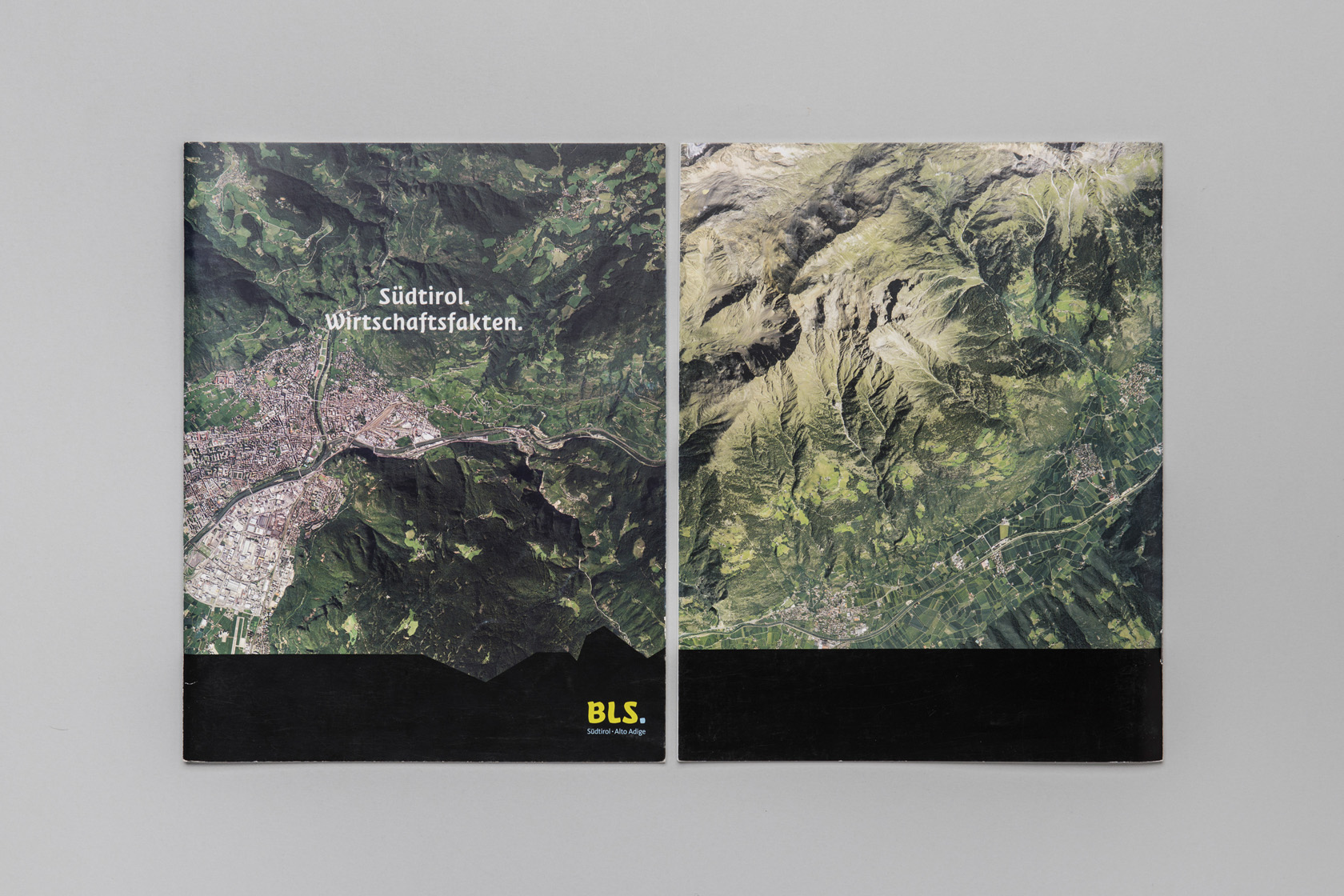South Tyrol. Economic facts – Lupo Burtscher