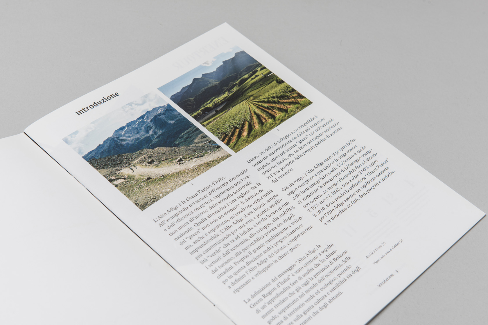 South Tyrol. Economic facts – Lupo Burtscher
